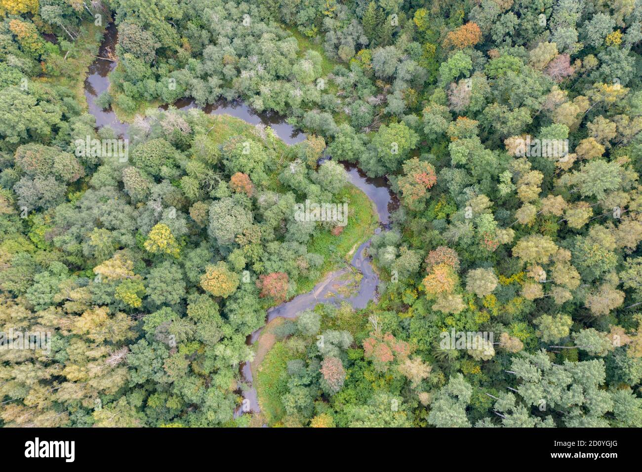 Aerial top down view of winding river flowing through green forest Stock Photo - Alamy