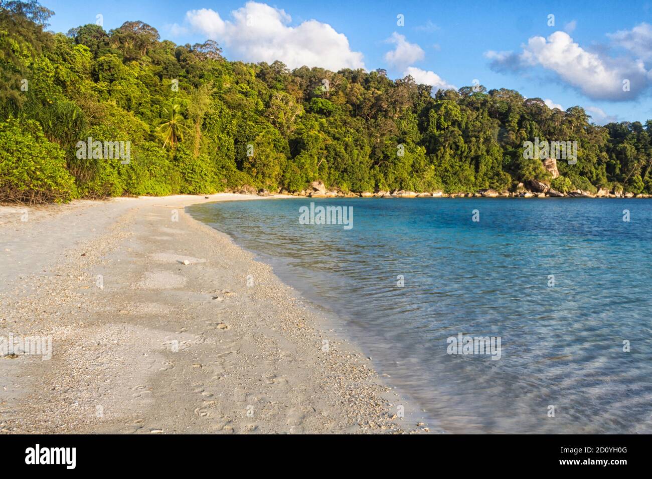 white sand beach with jungle on the tropical island. Malaysia Stock ...