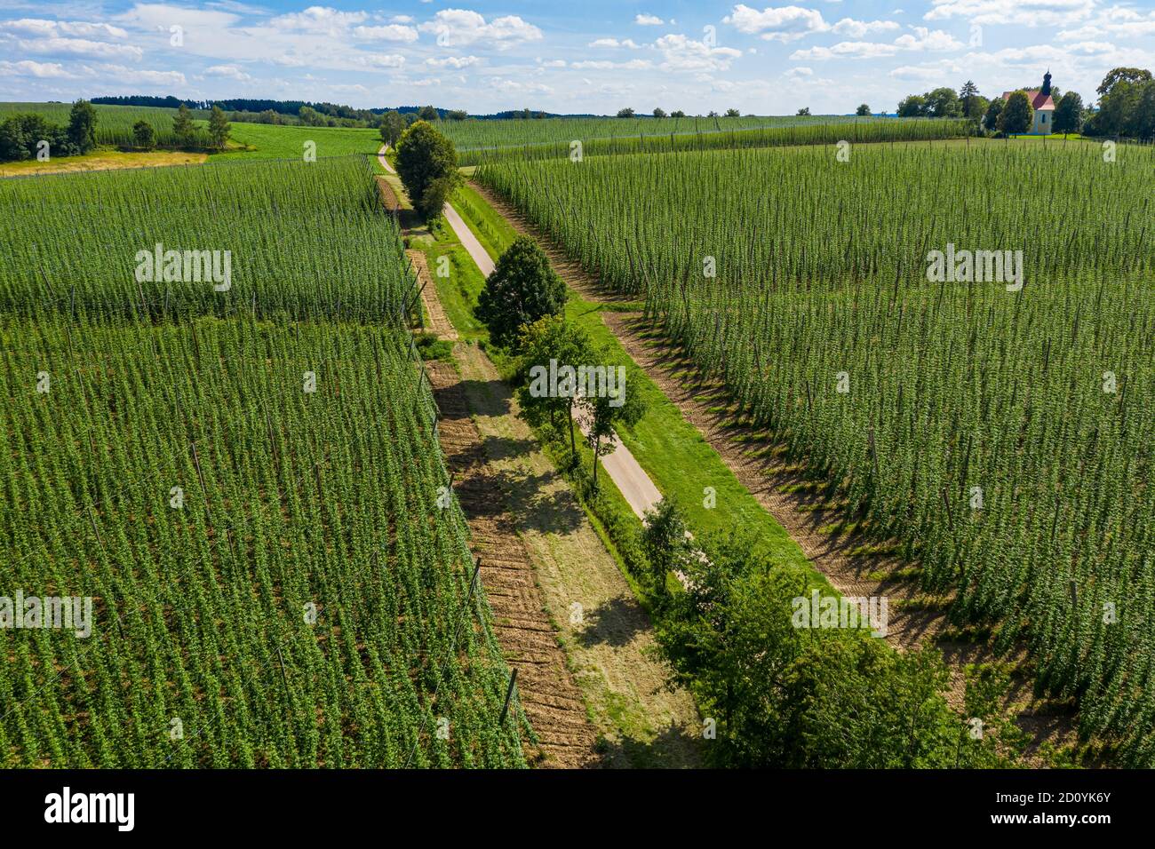 Aerial view from hop fields in Bavaria, Germany Stock Photo - Alamy