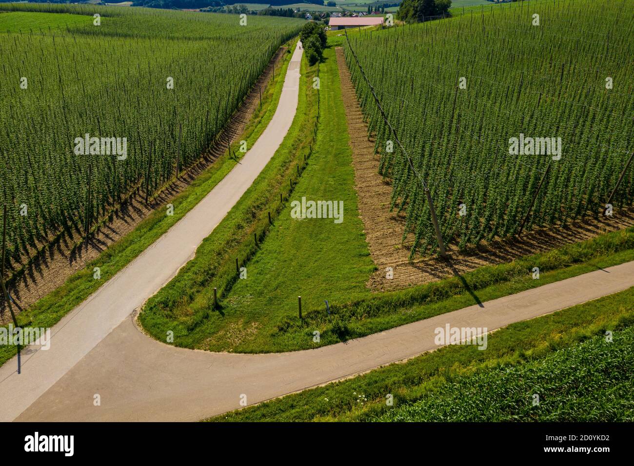Aerial view from hop fields in Bavaria, Germany Stock Photo - Alamy