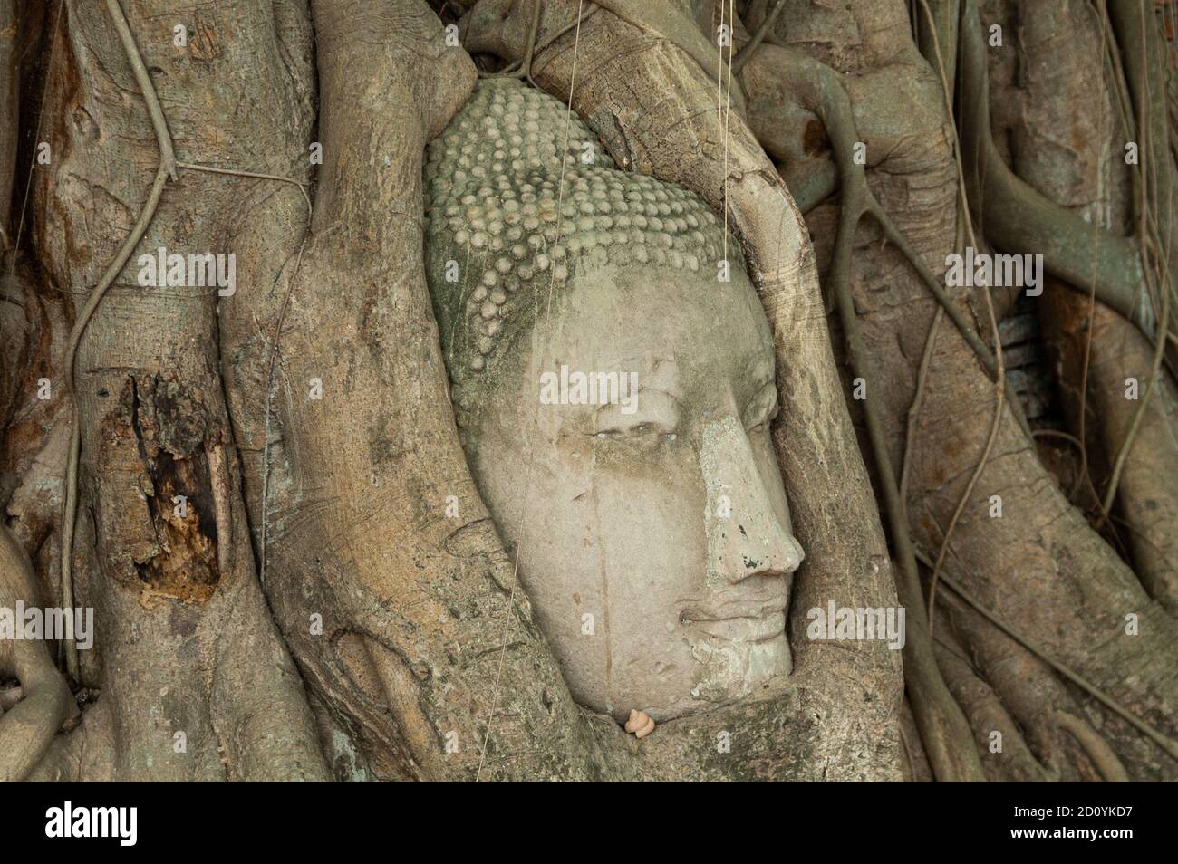 Thailand pavillion hi-res stock photography and images - Alamy