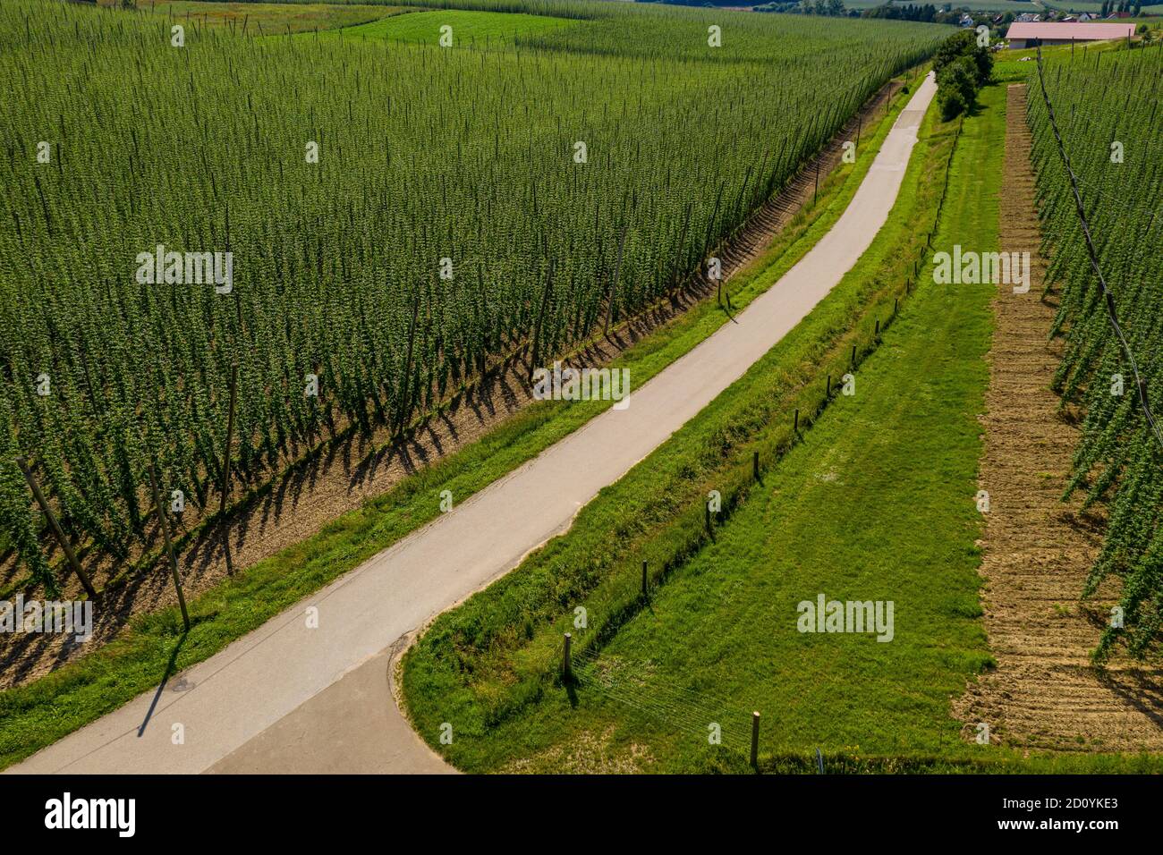 Aerial view from hop fields in Bavaria, Germany Stock Photo - Alamy
