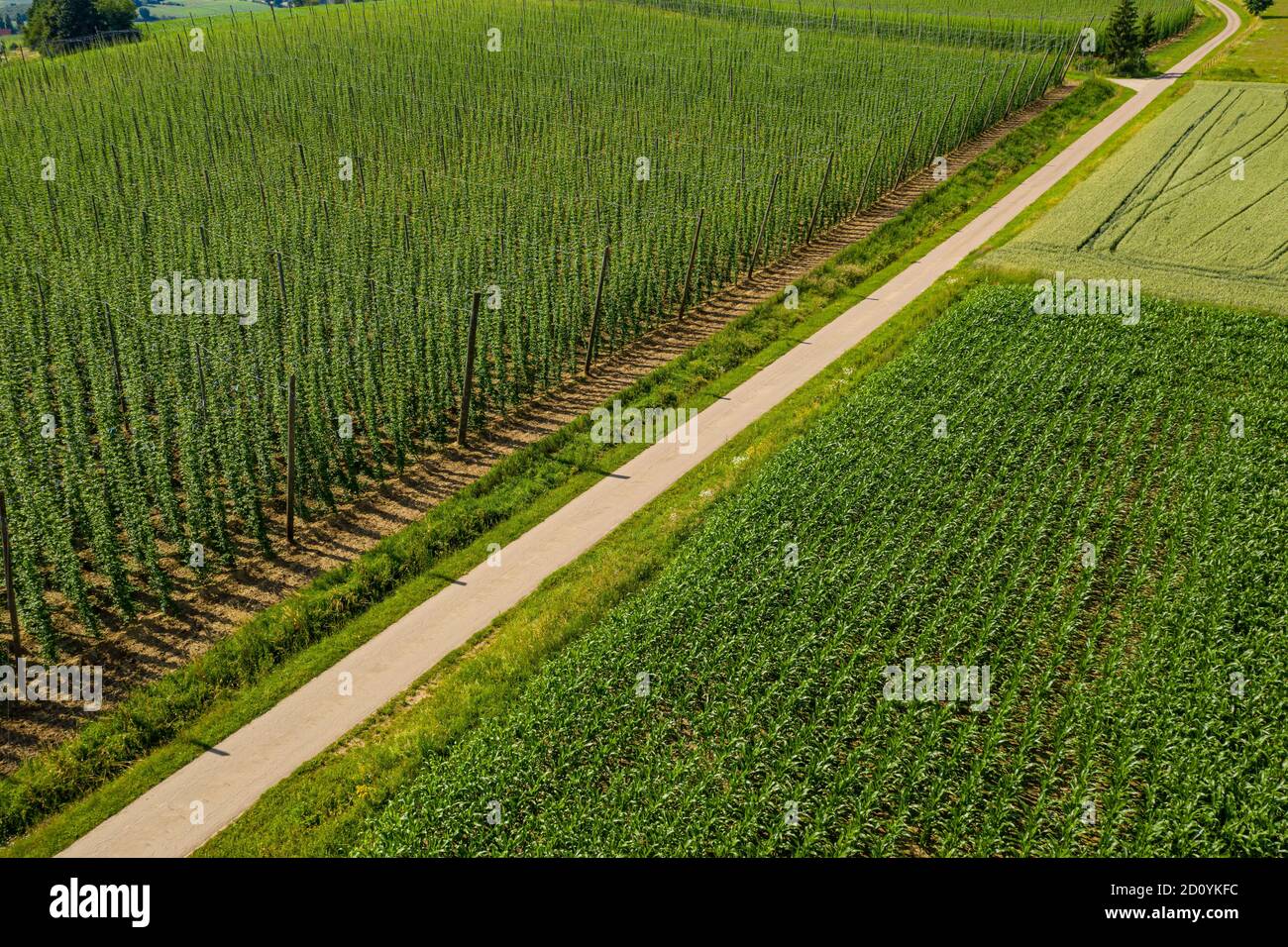 Aerial view from hop fields in Bavaria, Germany Stock Photo - Alamy