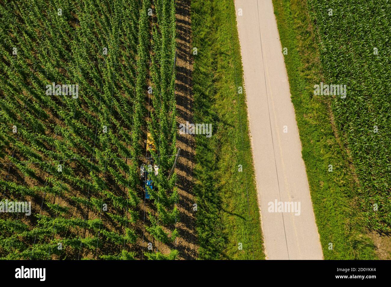Aerial view from hop fields in Bavaria, Germany Stock Photo - Alamy