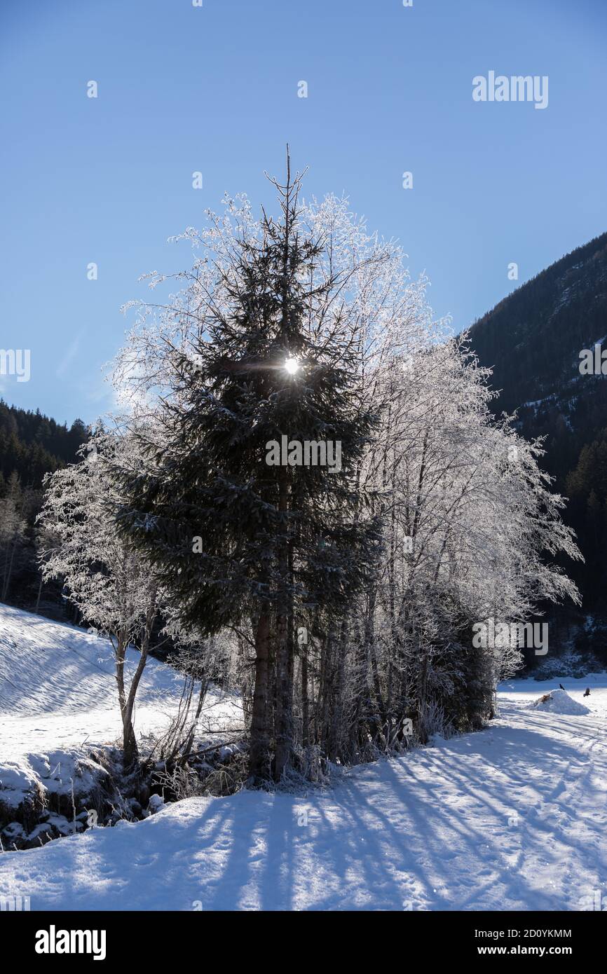 Am bach hi-res stock photography and images - Alamy