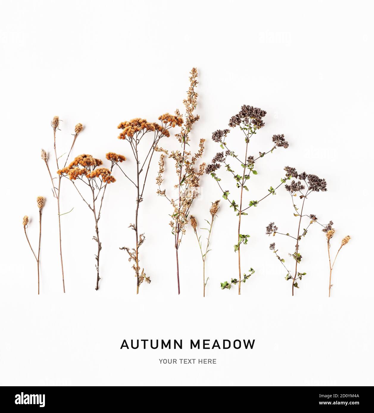 Border with weeds Cut Out Stock Images & Pictures - Alamy