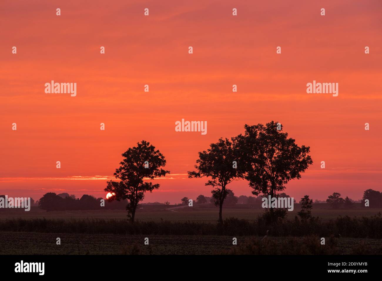 Nordic people of germany hi-res stock photography and images - Alamy