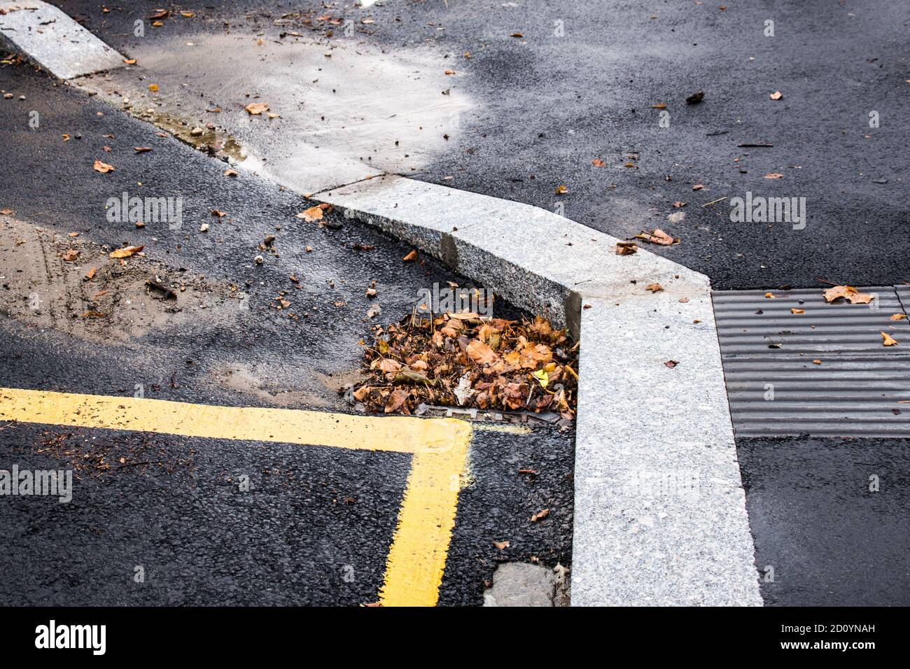 Blocked water drain system with dry leaves on roadside Stock Photo - Alamy