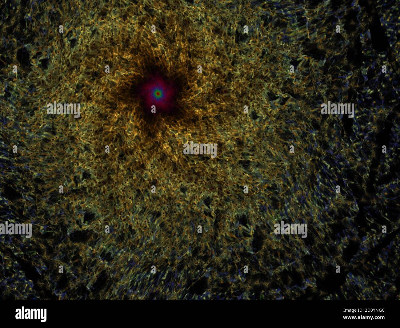 Imaginatory fractal background Image Stock Photo - Alamy
