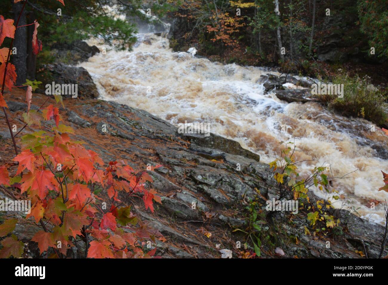 Duchesney Fall, North Bay, in autumn with fall colours and rapids Stock ...