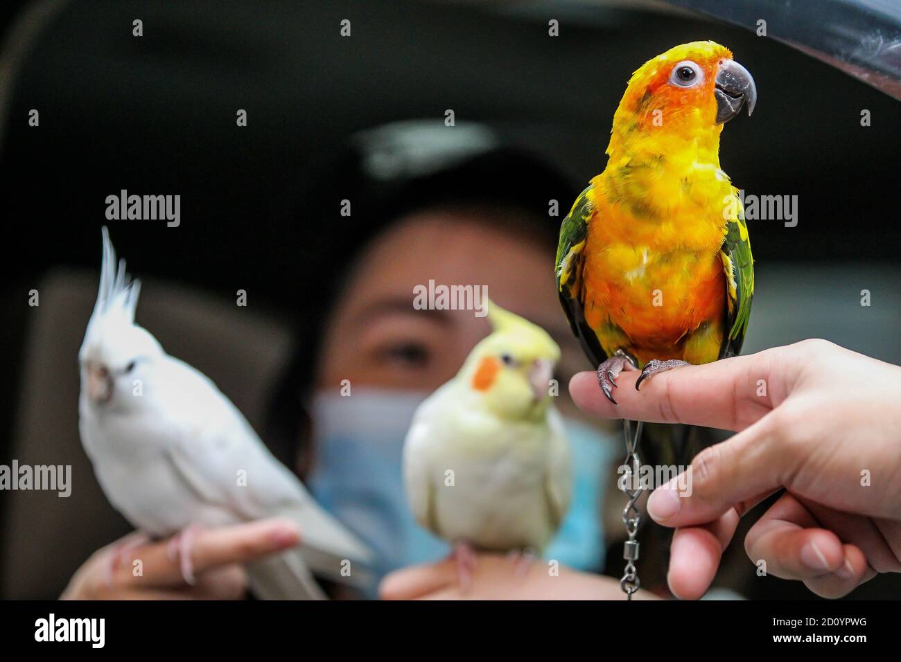 Every day drive hi-res stock photography and images - Alamy