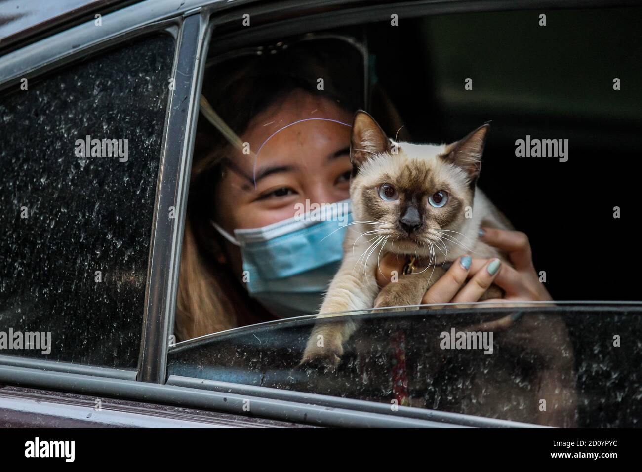 Manila. 4th Oct, 2020. A pet cat is seen inside a car during a drive ...
