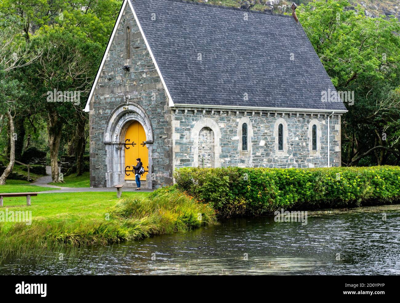 Barra gougone hi-res stock photography and images - Alamy