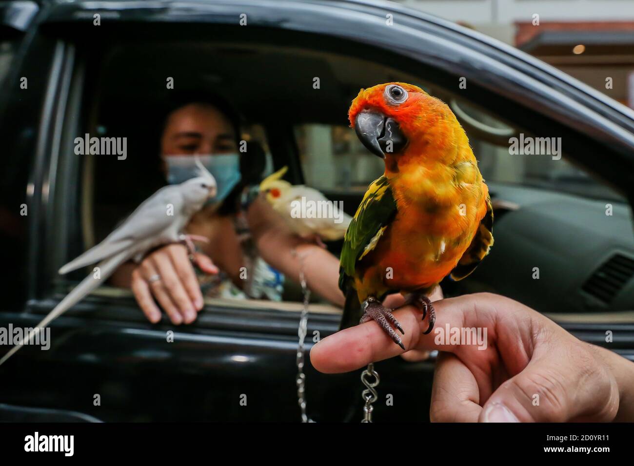 Every day drive hi-res stock photography and images - Alamy