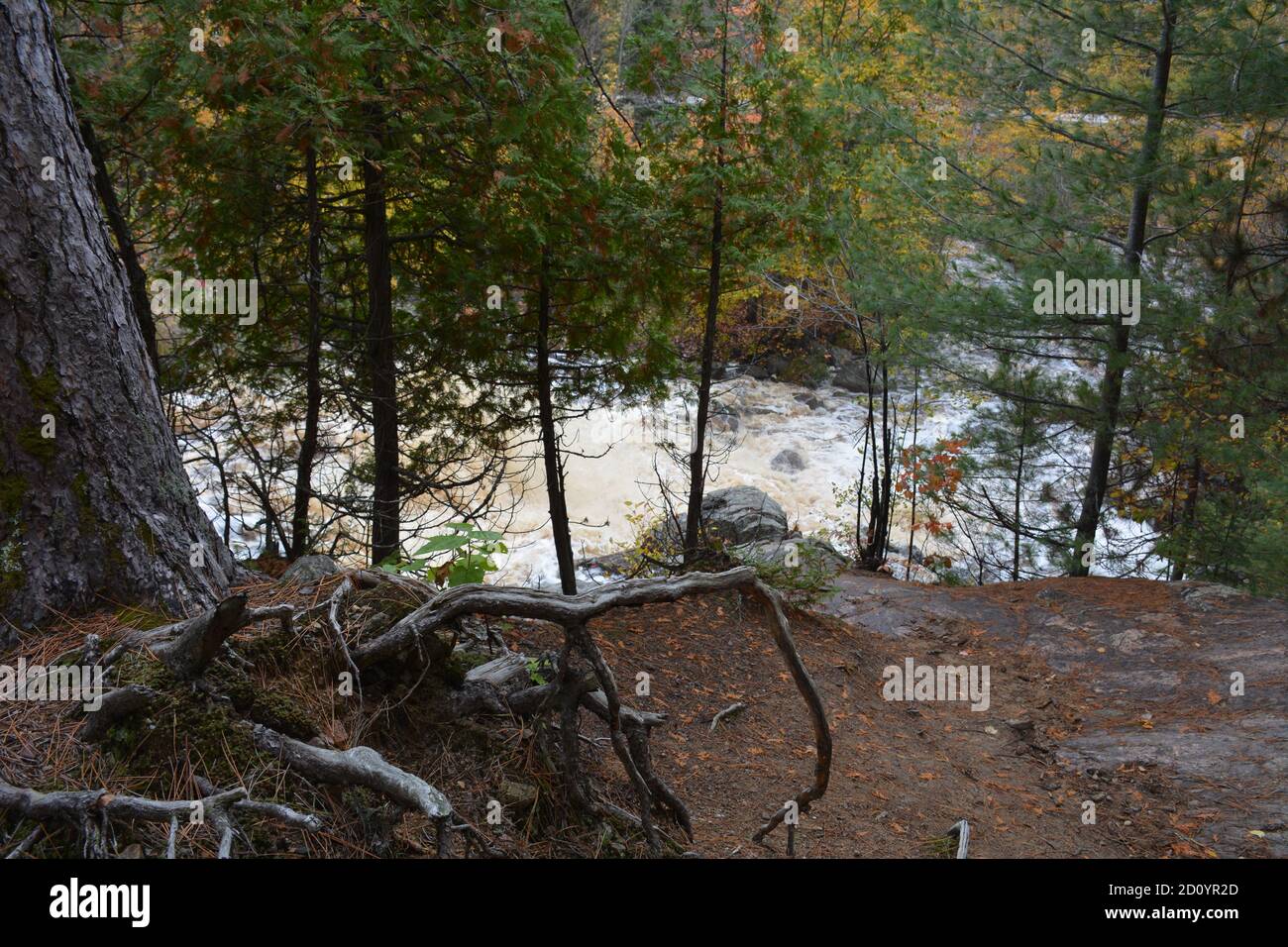 Duchesney Fall, North Bay, in autumn with fall colours and rapids Stock ...