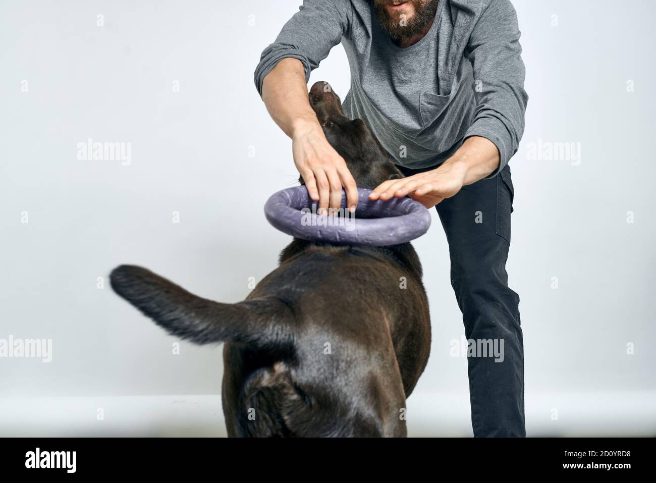 happy owner with pet black dog training model emotions Stock Photo - Alamy