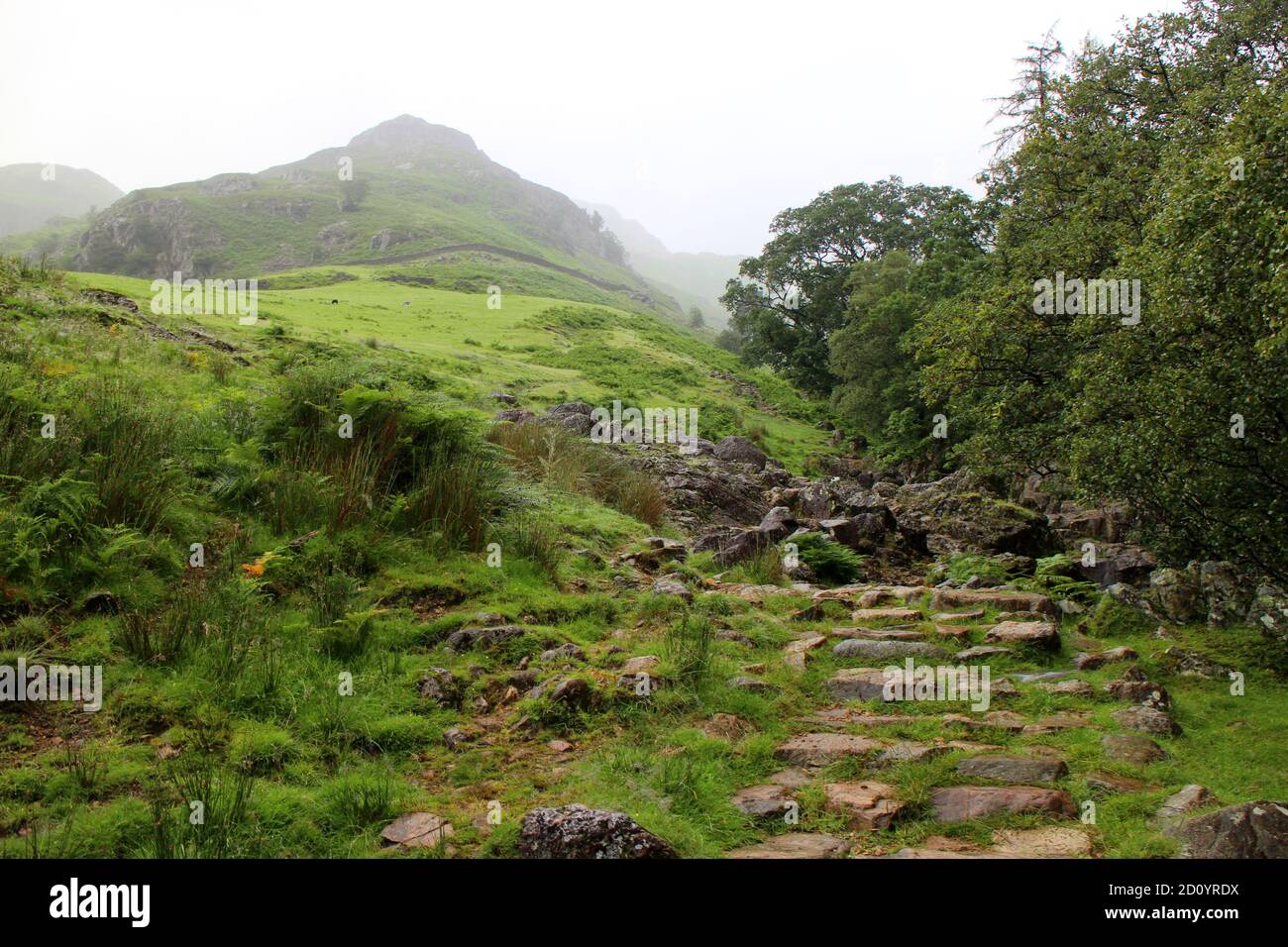 Path up Stickle Ghyll to Stickle Tarn from Dungeon Ghyll car park Lake ...