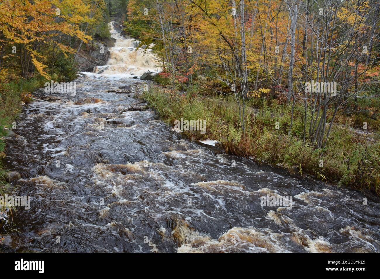 Duchesney Fall, North Bay, in autumn with fall colours and rapids Stock ...