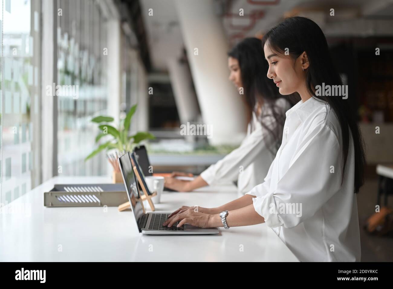 Office women are working together with a computer laptop at the white ...