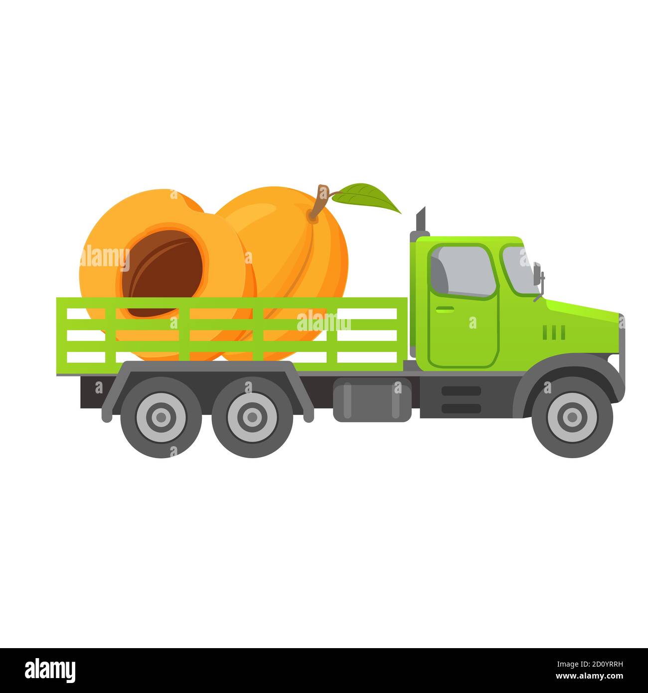 Food delivery truck apricot fruit harvesting.Car illustration vector ...