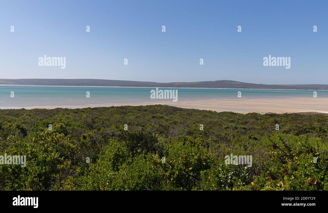 Blue lagoon and shrubs hi-res stock photography and images - Alamy