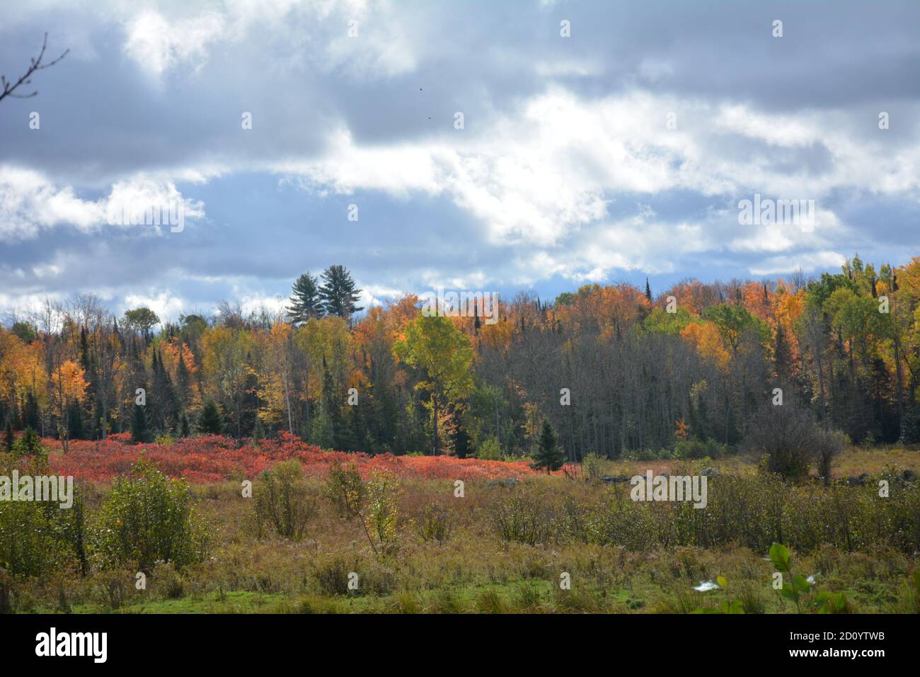 Colourful farm in ontario hi-res stock photography and images - Alamy