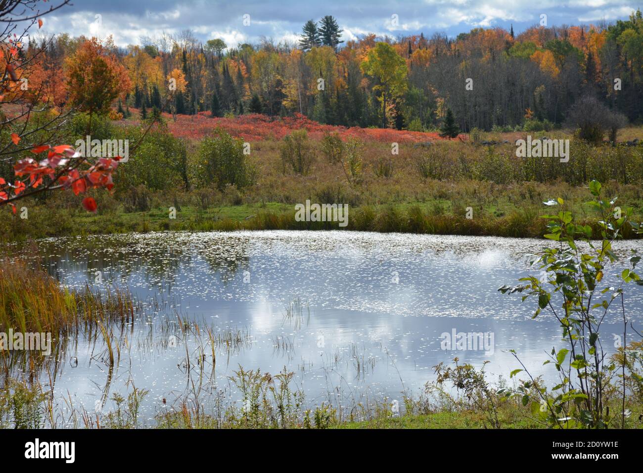 Colourful farm in ontario hi-res stock photography and images - Alamy