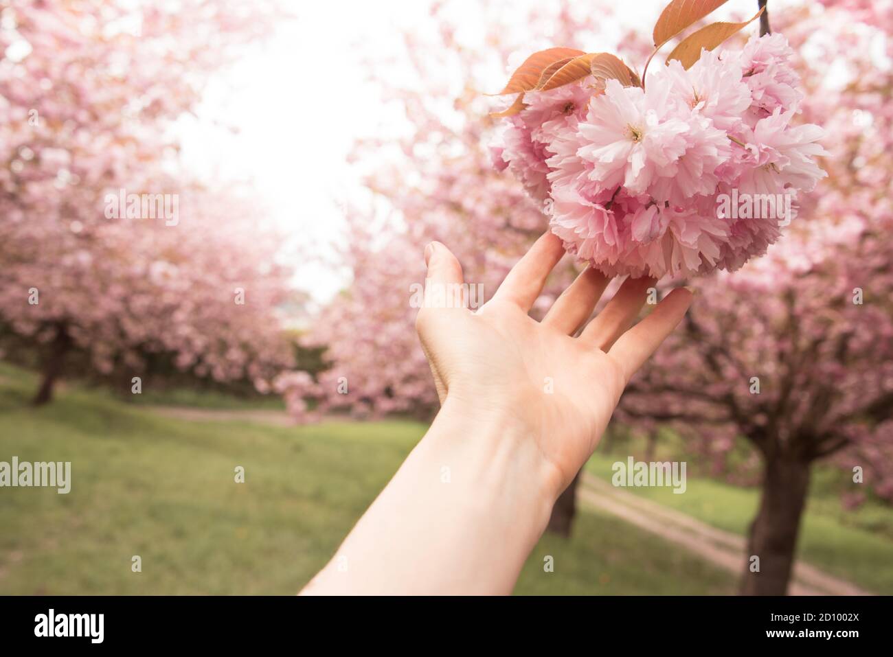 Hand reaching out hi-res stock photography and images - Alamy
