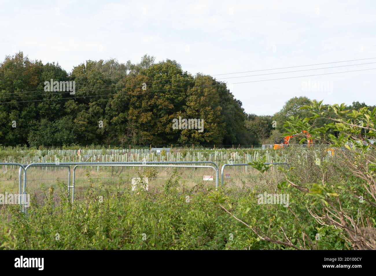 Harefield, Uxbridge, UK. 28th September, 2020. Huge numbers of trees ...
