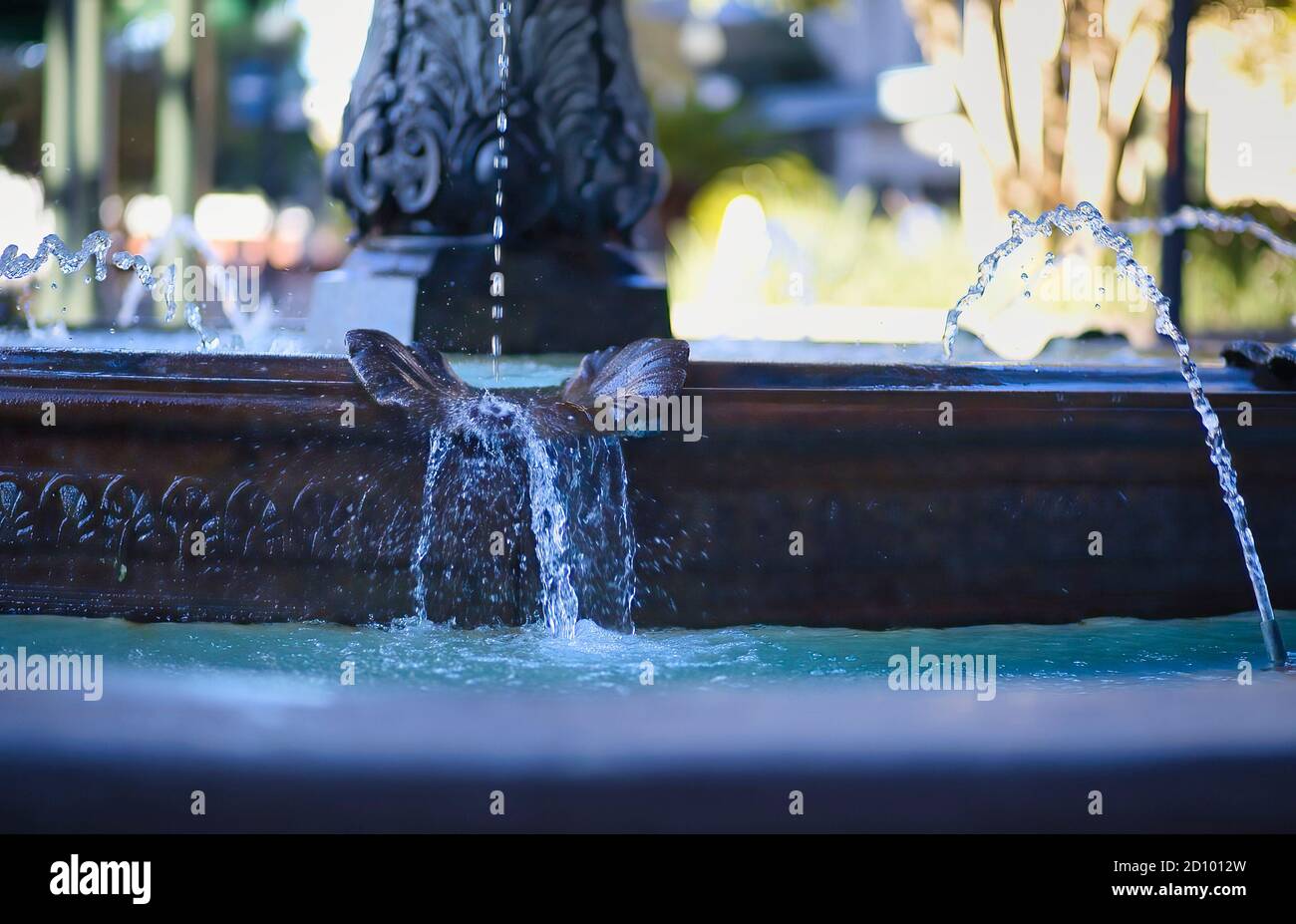 Beautiful water fountain located South Georgia, North and Southeast ...