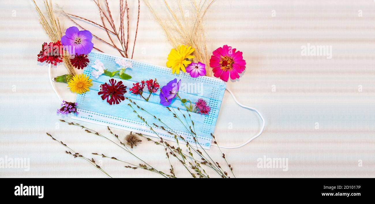 Hay cold frame hi-res stock photography and images - Alamy