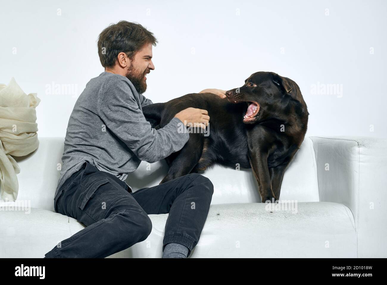 Happy man and dog on the couch In a bright room pet is a friend of man ...