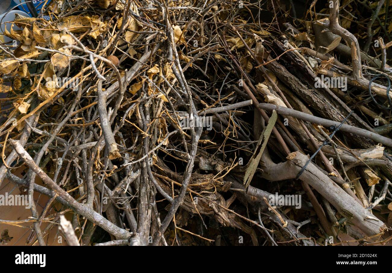 pile of cut tree branches Stock Photo - Alamy