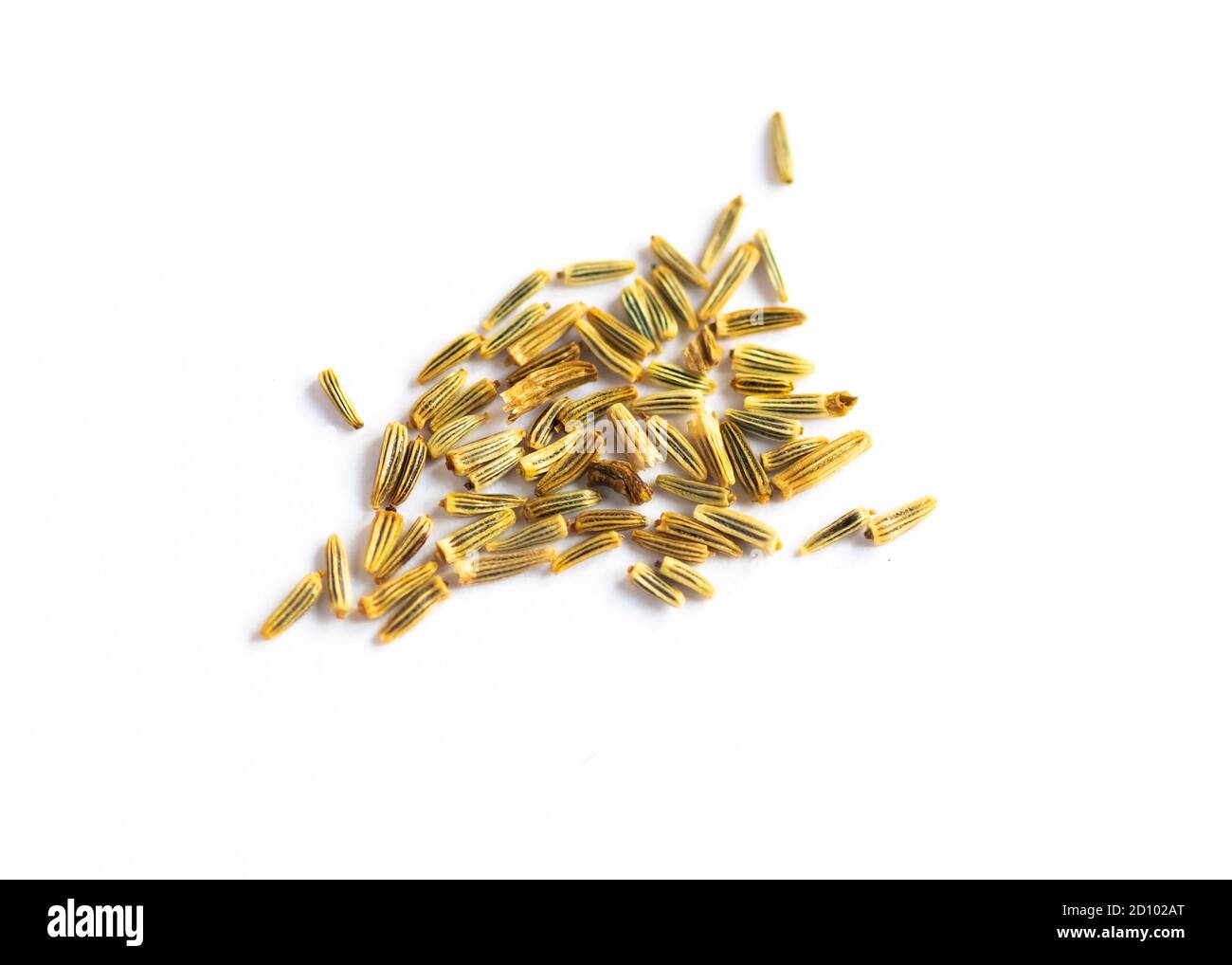 Sow annual seed Cut Out Stock Images & Pictures - Alamy