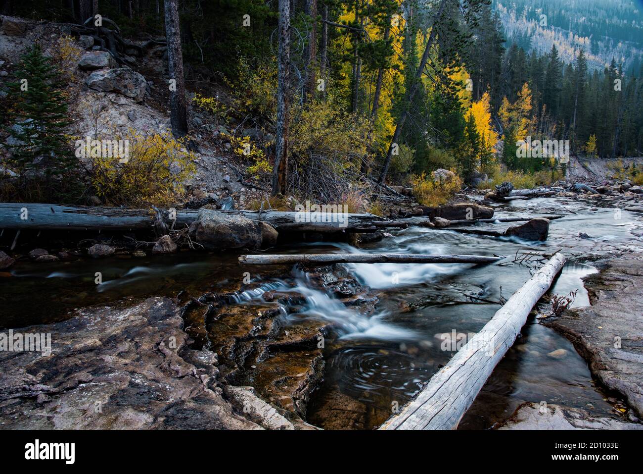 Gently flowing stream in the high mountains of Utah. The Upper Provo ...