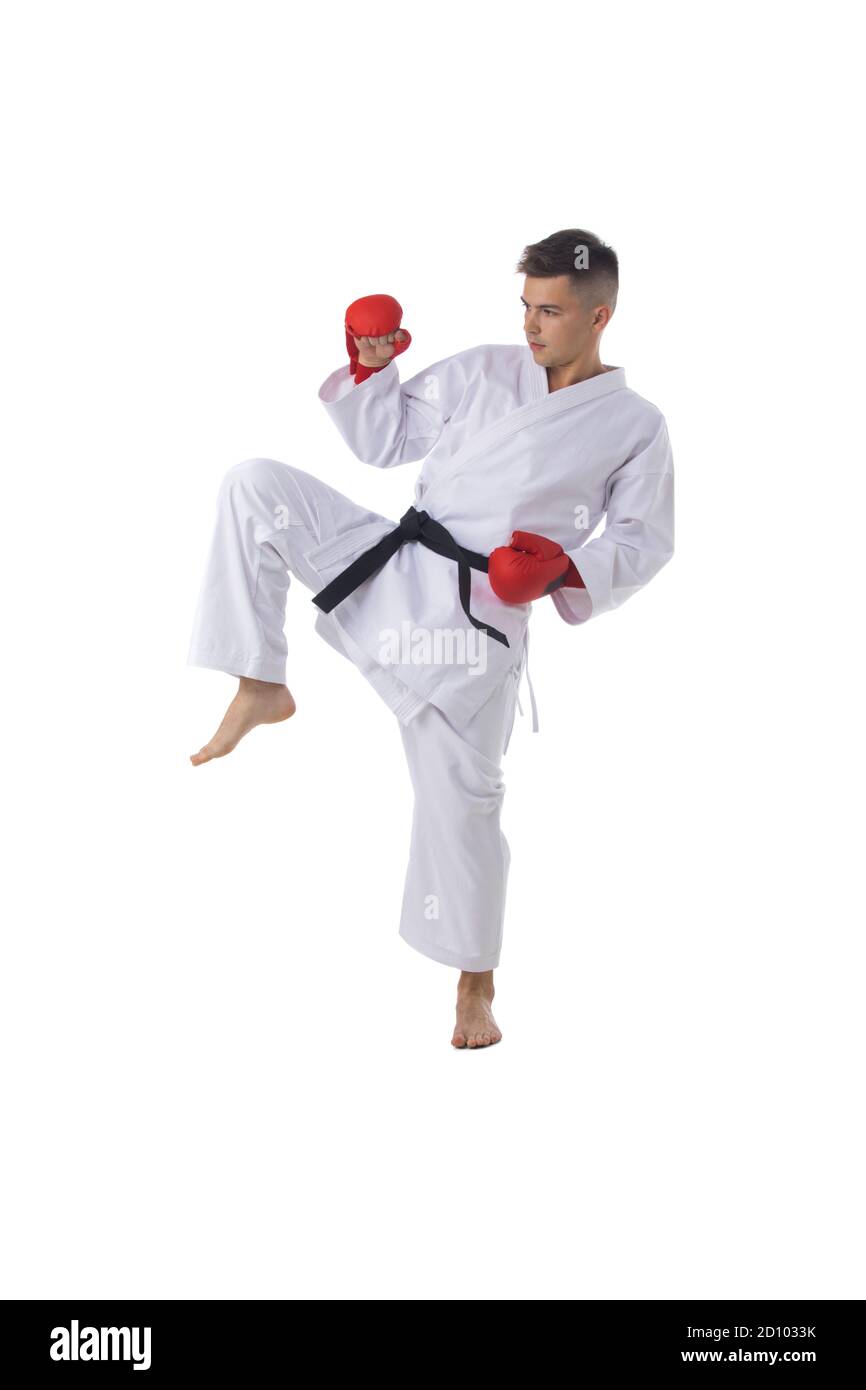 Man fighter training taekwondo isolated on white background Stock Photo ...