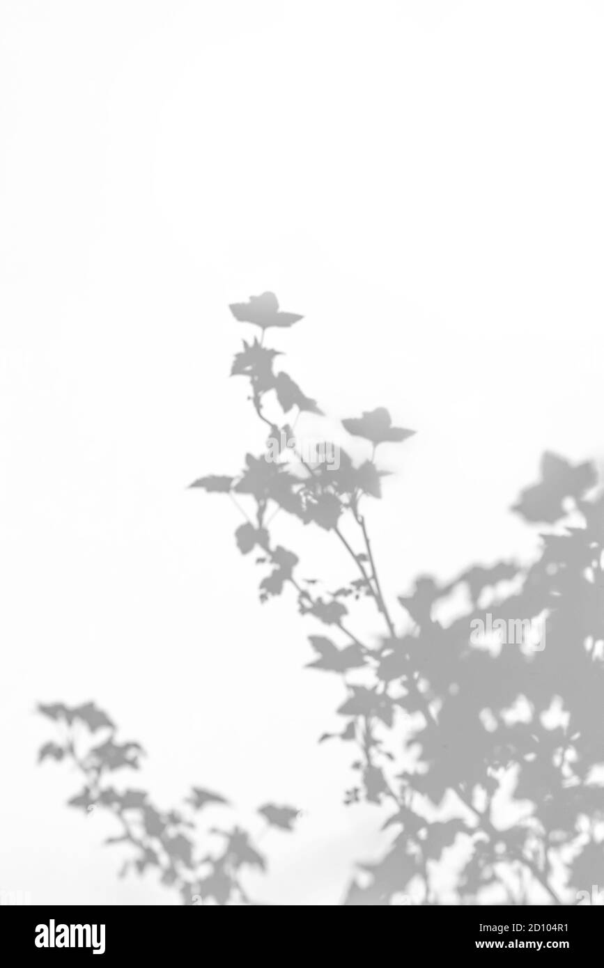 Overlay text effect hi-res stock photography and images - Alamy