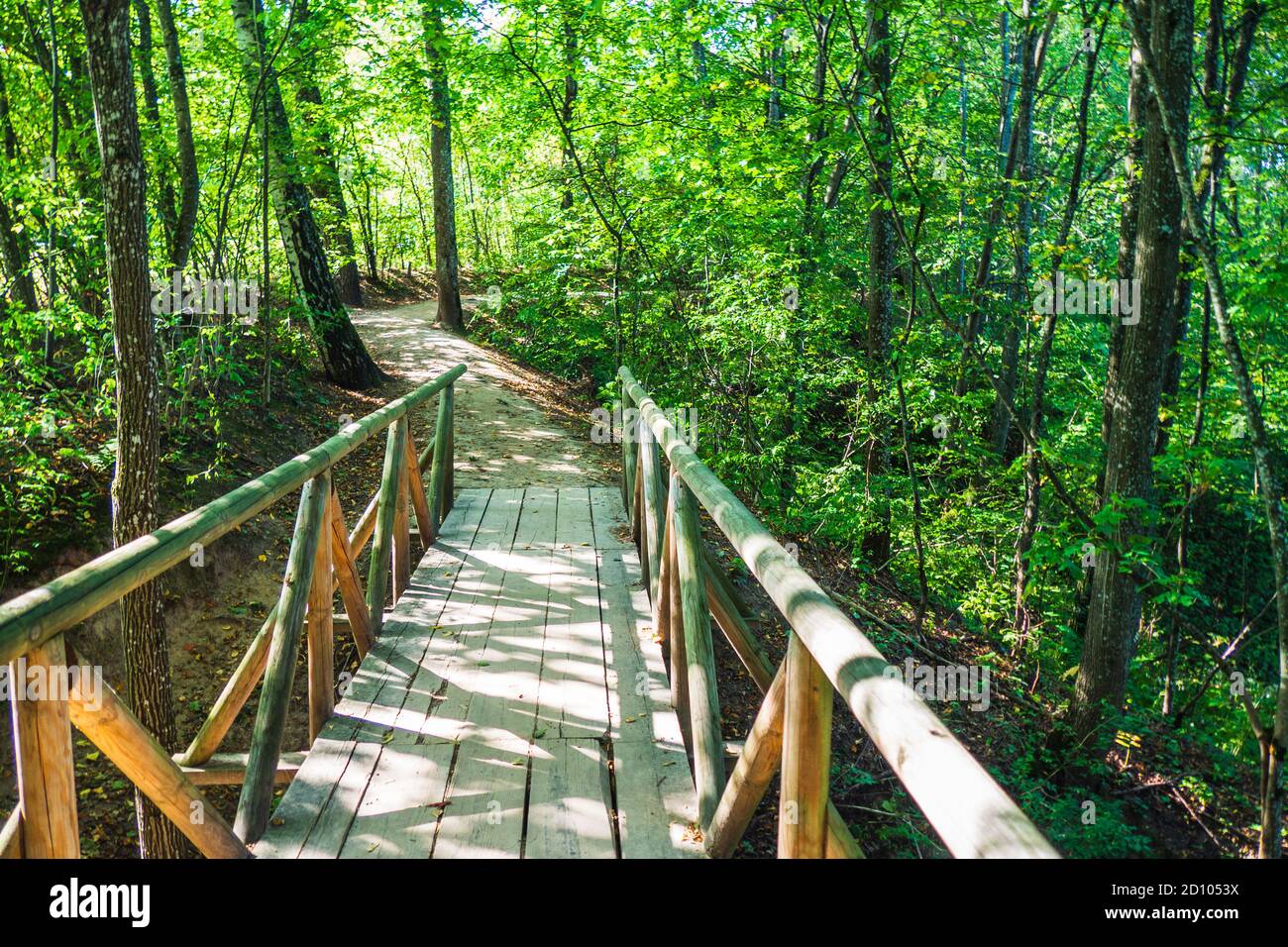 Wooden Bridge Disappearing Into The Depths of Forest. Hiking Trail in ...