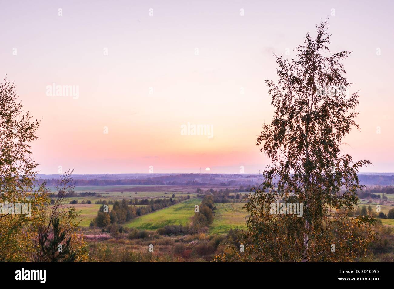 sunset in a tree field horizon landscape morning natural Stock Photo ...