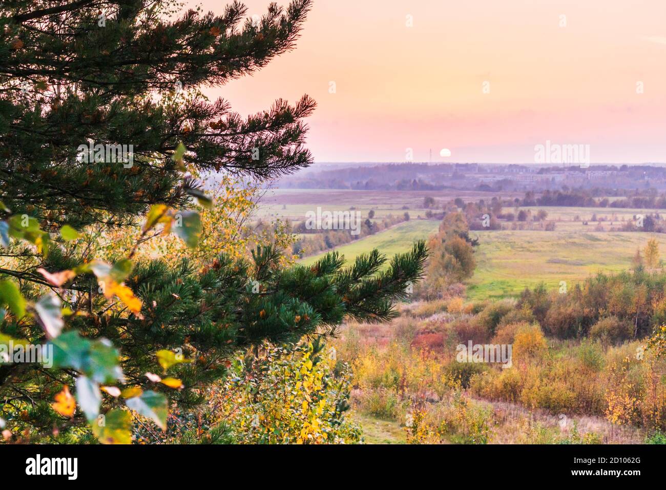 sunset in a tree field horizon landscape morning natural Stock Photo ...