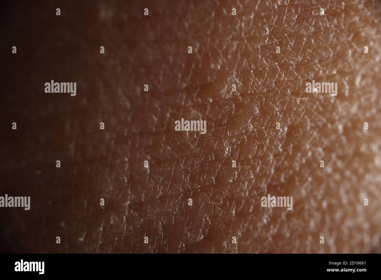 Human skin with small hair close up Stock Photo - Alamy