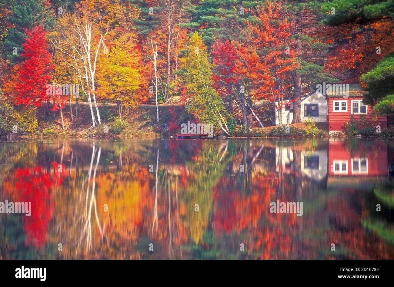 Autumn reflection, October in New York, USA Stock Photo - Alamy