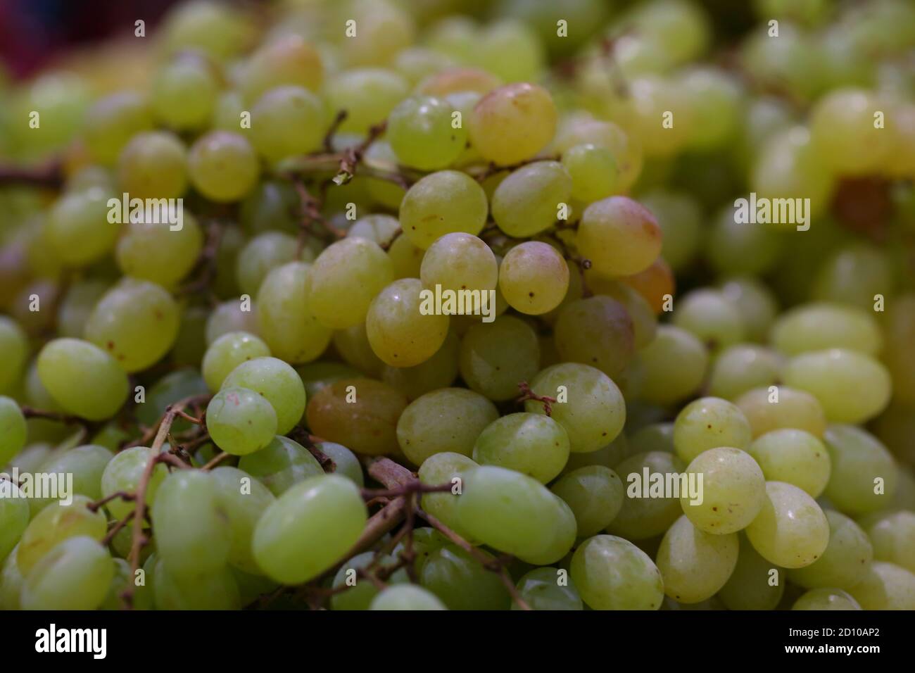 Grapes on the counter in the store. Farmers fair Stock Photo - Alamy