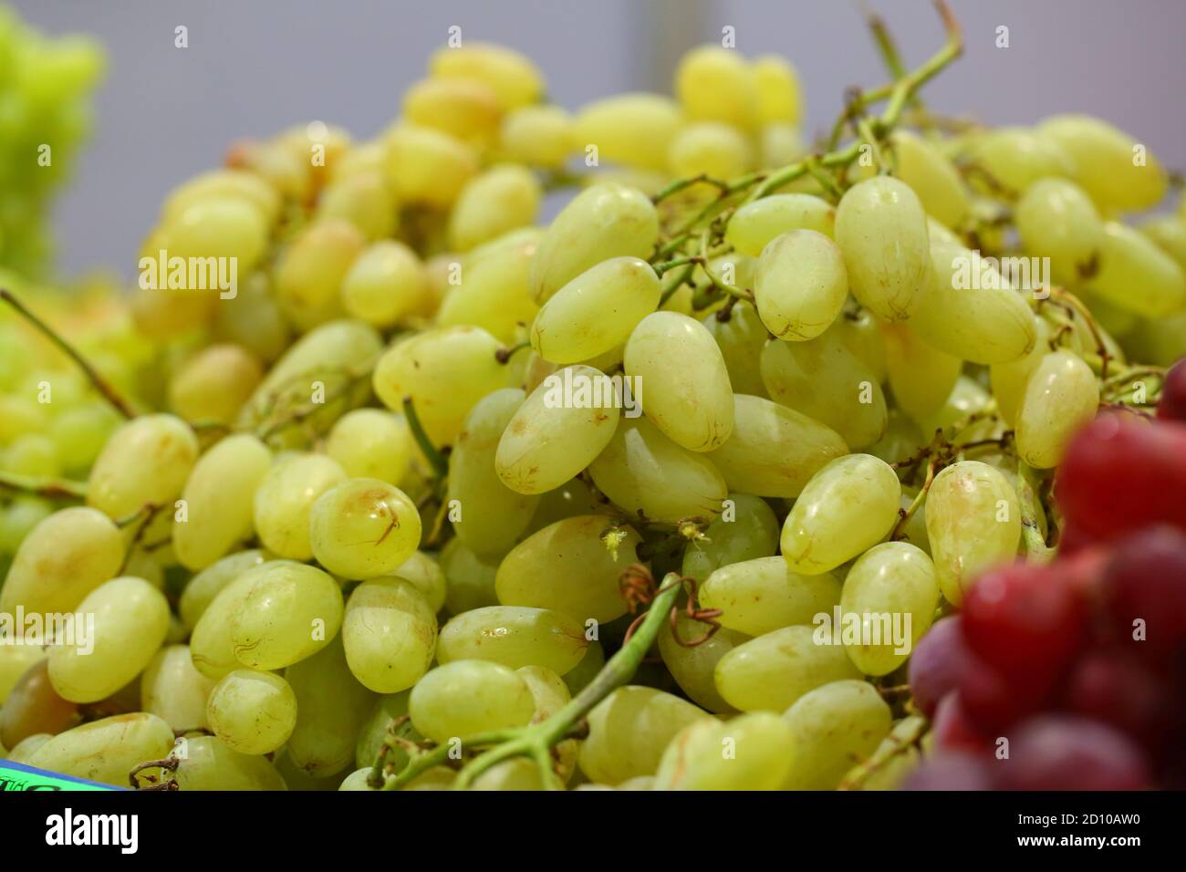 Grapes on the counter in the store. Farmers fair Stock Photo - Alamy