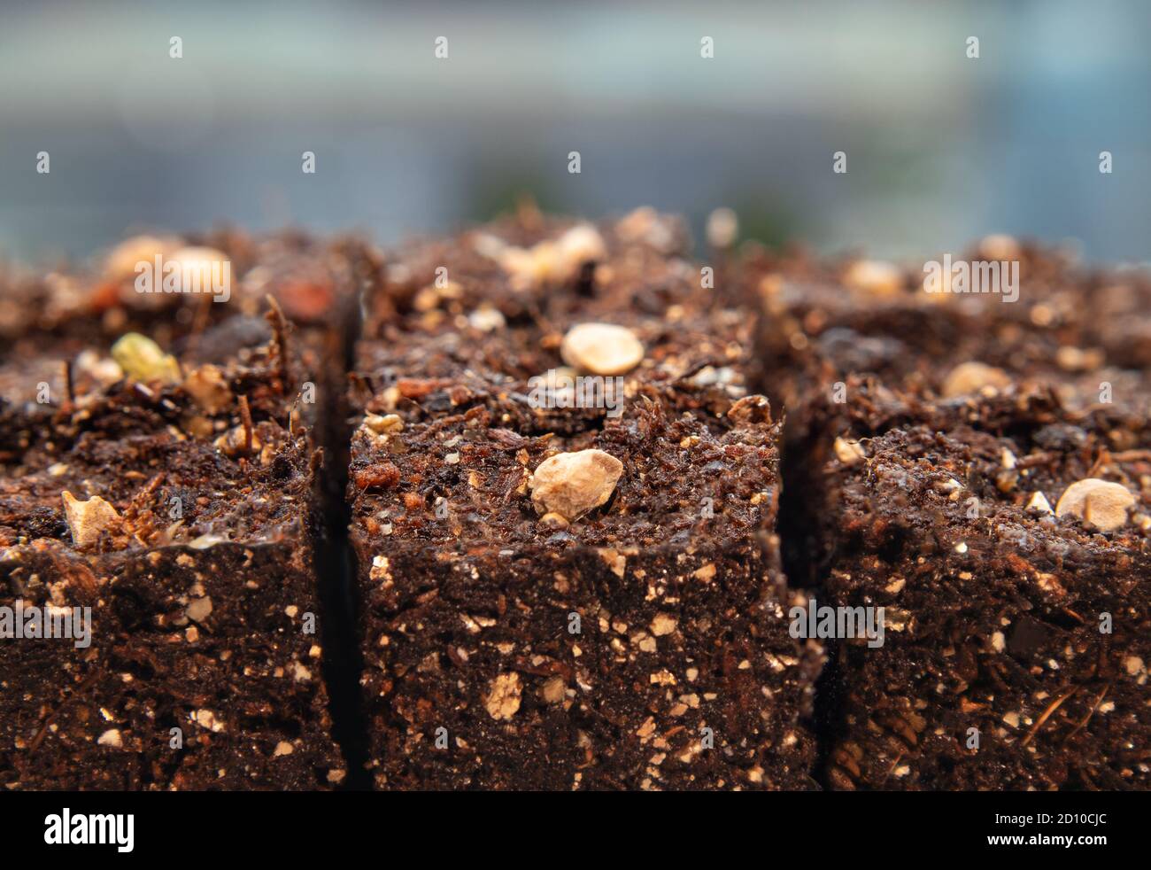 Spinach seed trays hi-res stock photography and images - Alamy