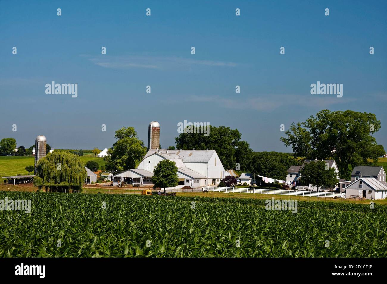 Amish farm, houses, barns, windmill, silos, corn field, rural scene, no ...