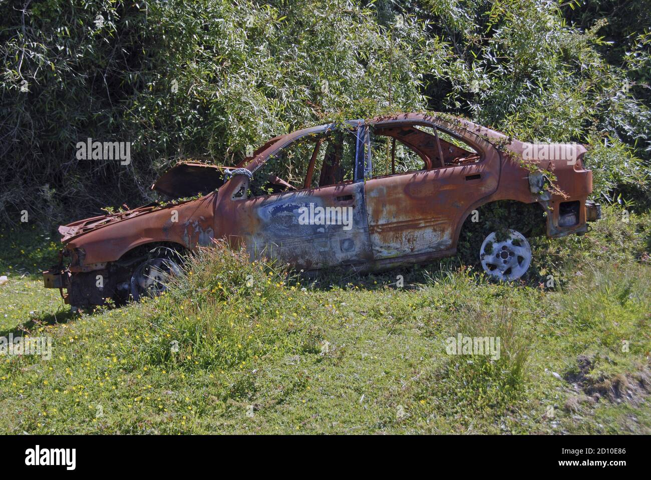 Abandoned old car surrounded by trees Stock Photo - Alamy