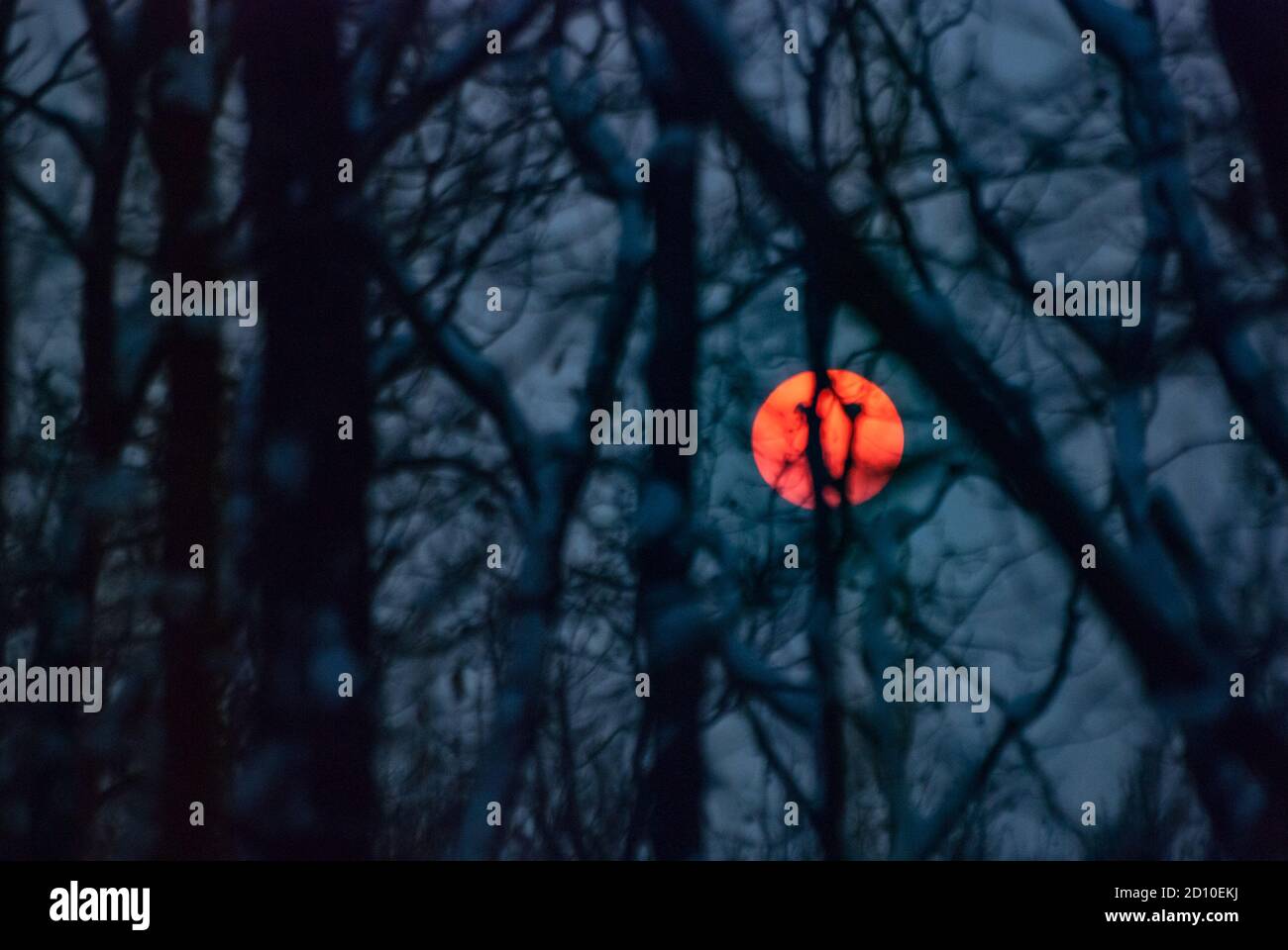 Sunset in late winter evening Stock Photo - Alamy