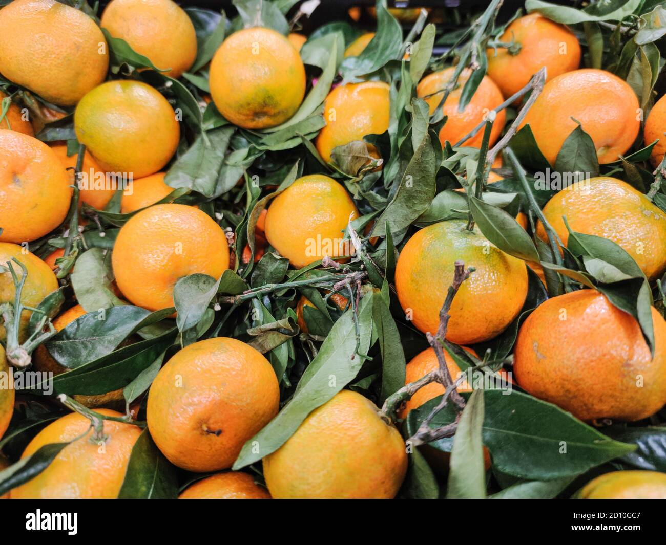 Oranges, mandarins background and texture Stock Photo - Alamy