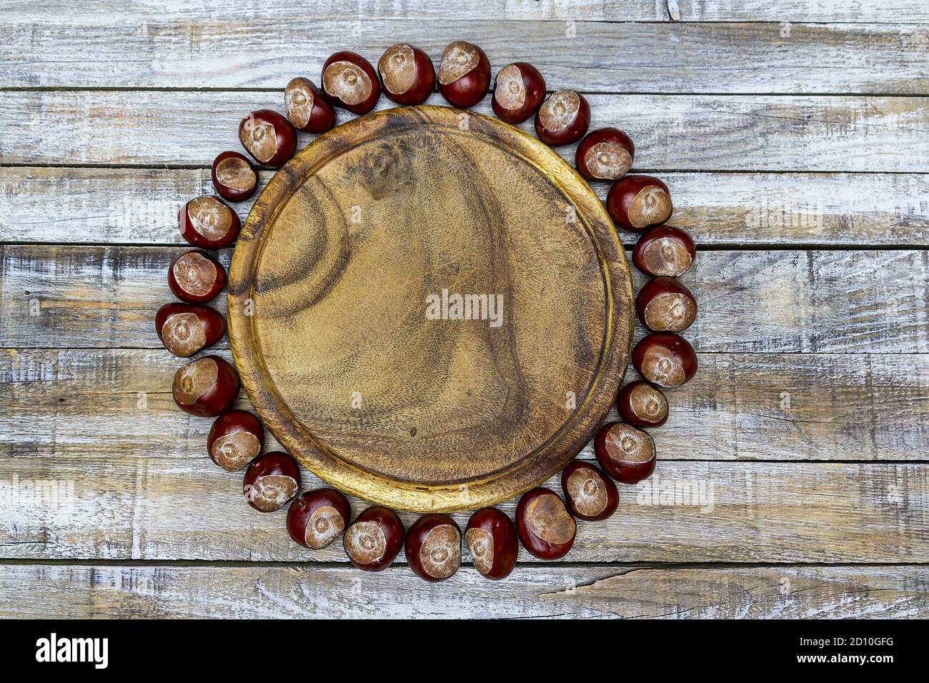 Flat lay chestnut and acorn circle with wooden desk. Autumn, wedding ...